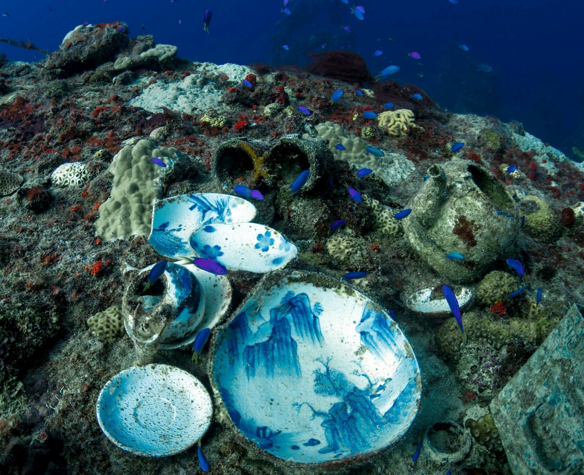 The History behind Operation Hailstone - Master Liveaboards