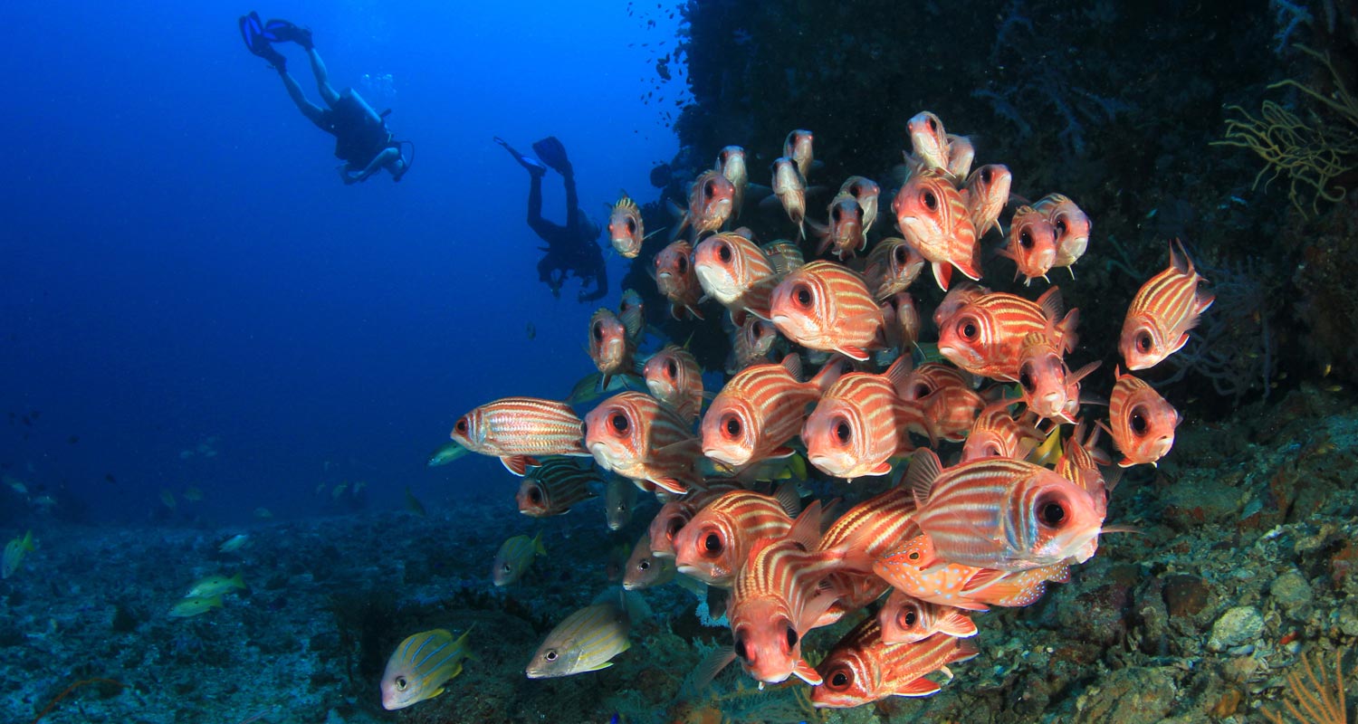 Mergui Archipelago 10 nights - Master Liveaboards