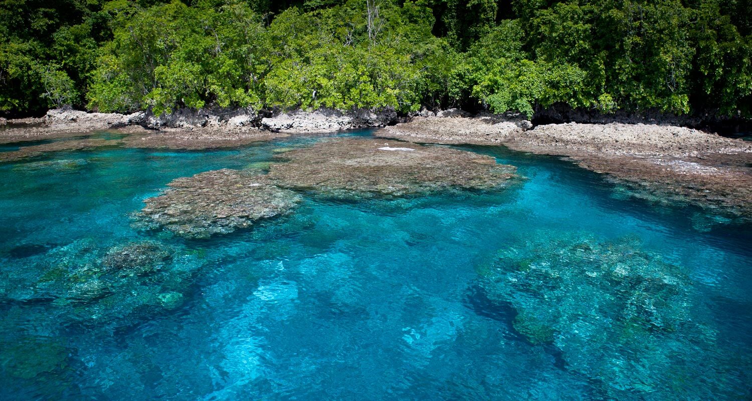 Liveaboard diving in the Solomons - Master Liveaboards
