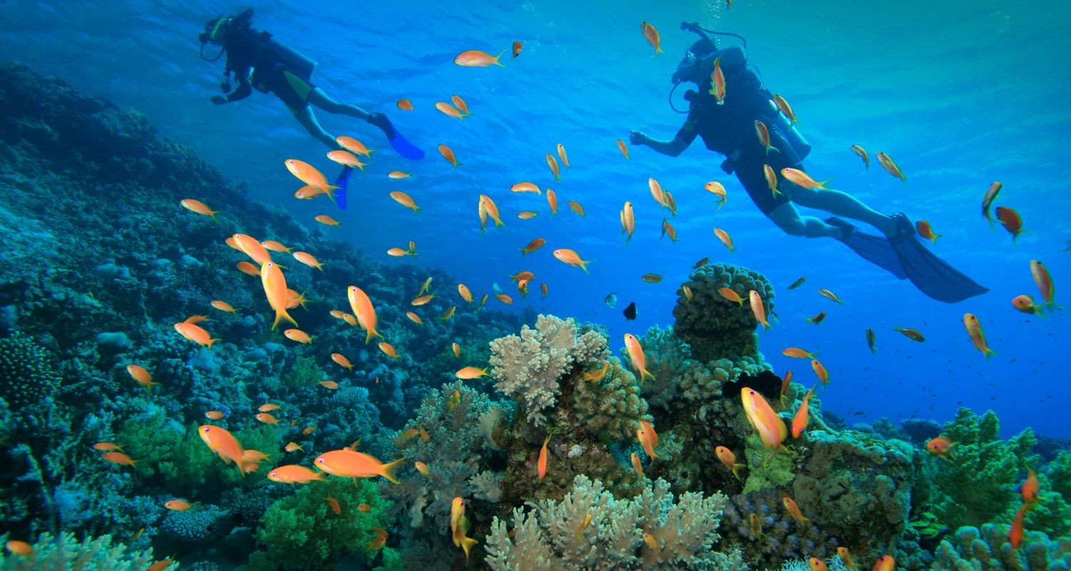 Visayas, Southern Leyte & Malapascua - Master Liveaboards