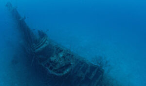 Do You Know Your Warship Terminology? - Master Liveaboards