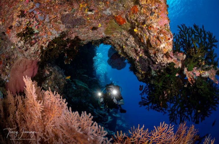 Solomon Islands Diving, an essential guide - Master Liveaboards