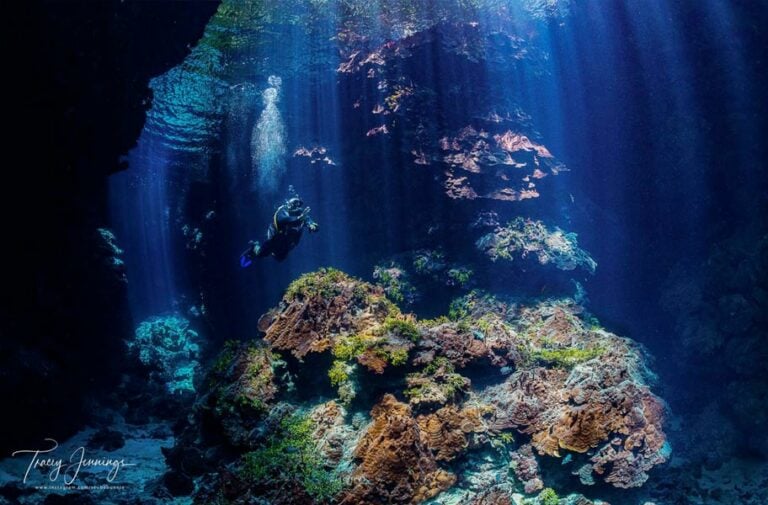 Solomon Islands Diving, an essential guide - Master Liveaboards