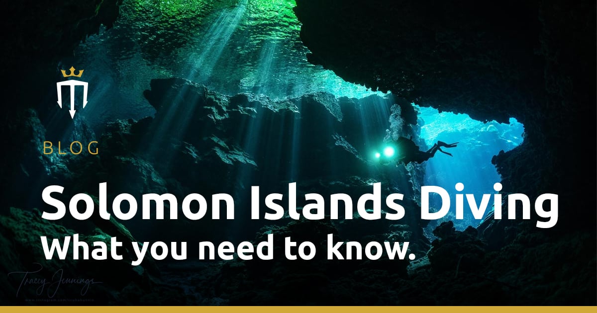 Solomon Islands Diving, an essential guide - Master Liveaboards