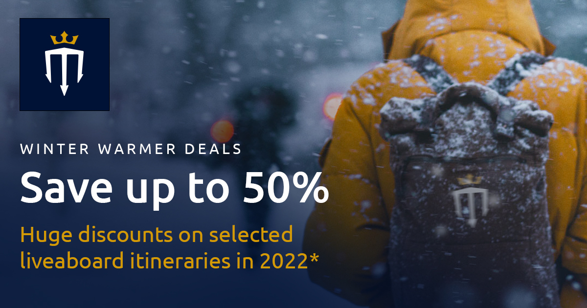 Winter Warmer Deals - Master Liveaboards