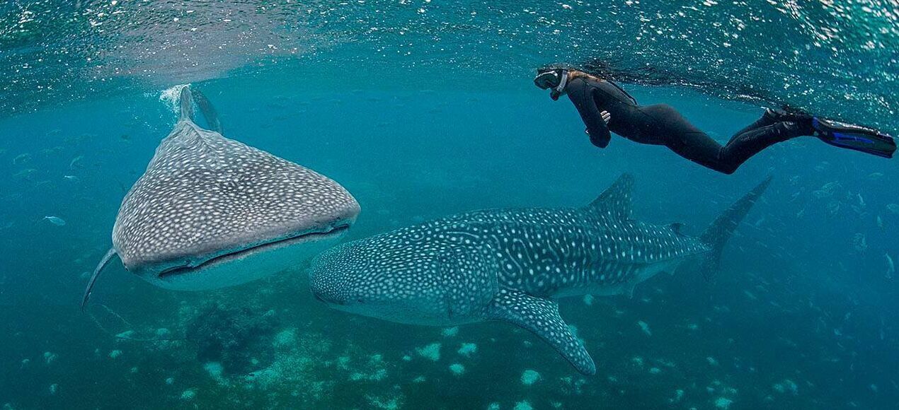 Which Philippines itinerary to choose? - Master Liveaboards