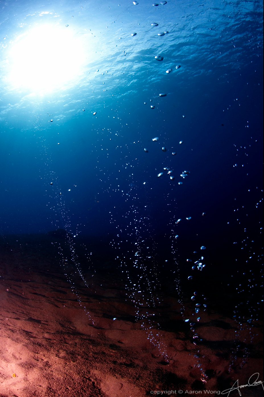 Hot Rocks - Sangeang Volcano diving - Master Liveaboards