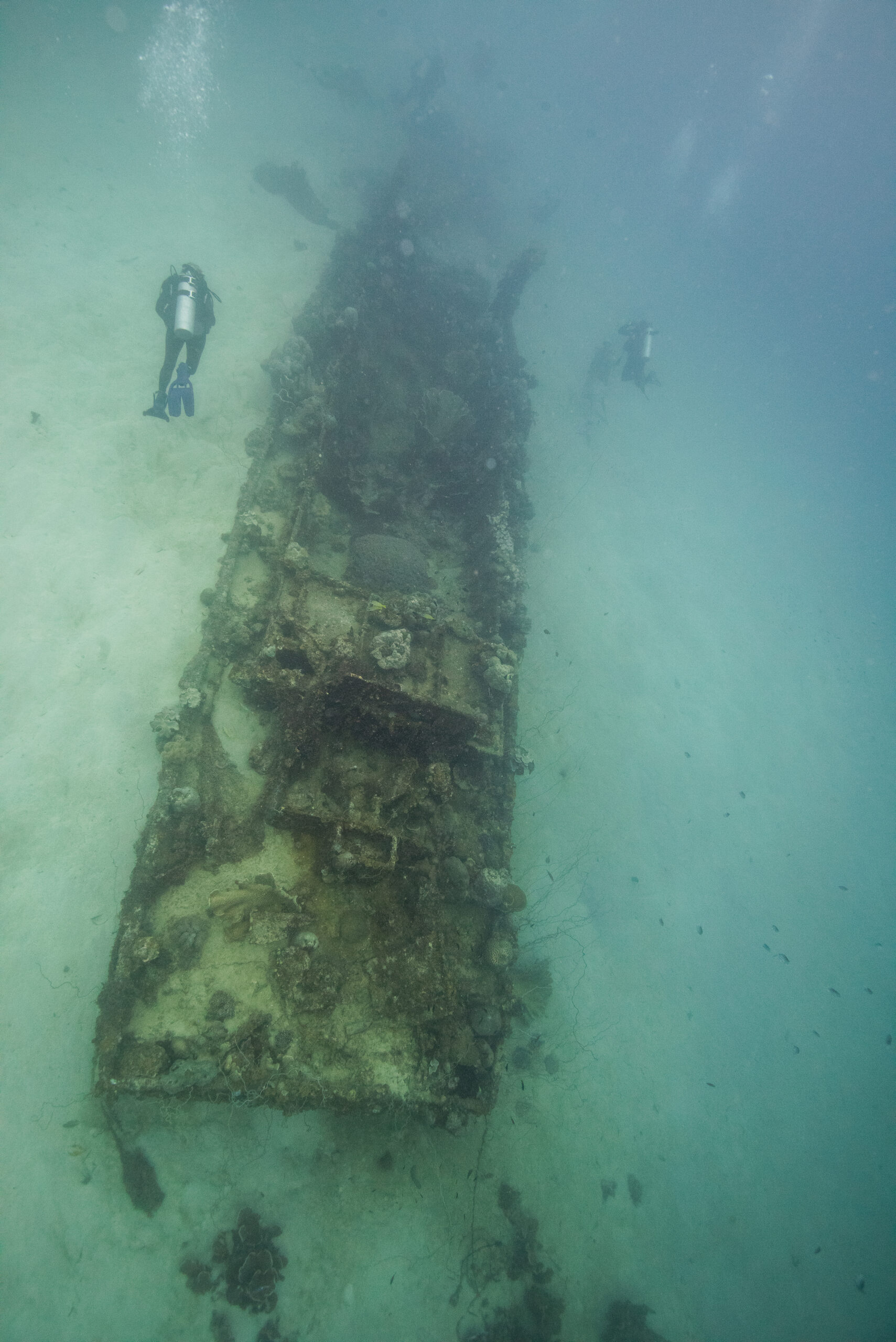 The Iron Bottom Sound - Master Liveaboards