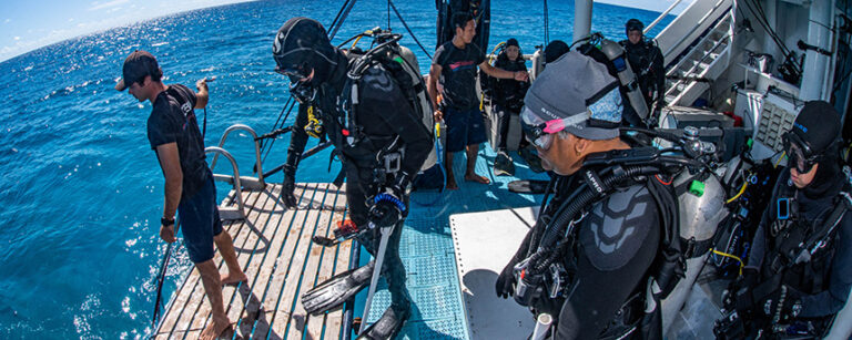 Advantages of Liveaboard Diving - Master Liveaboards