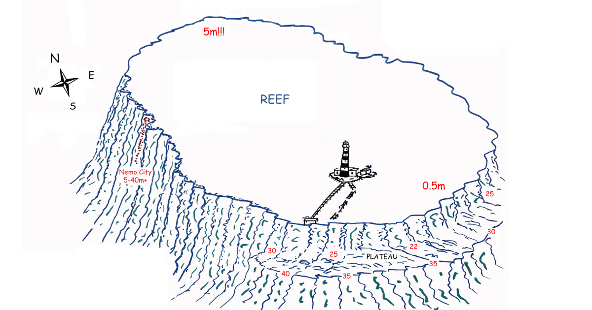 Best dive site in the Red Sea: Dive Daedalus Reef - Master Liveaboards