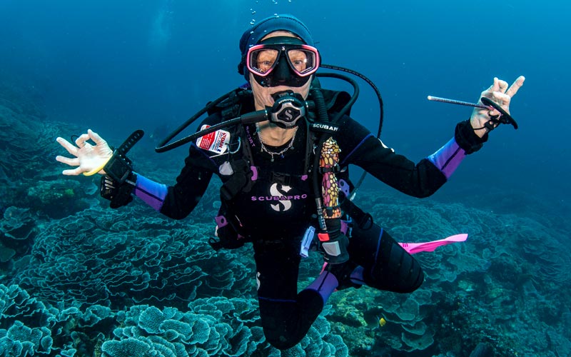 Master Liveaboards - Liveaboard diving and dive travel experts